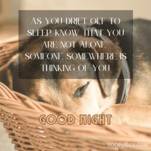 50+ Unique Good Night Images with Quotes - Wishes & Pics Collection ...