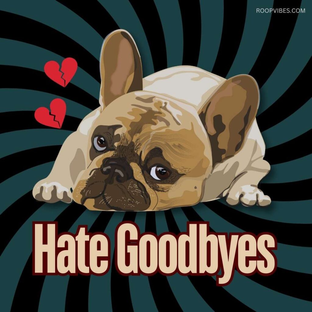 40+ Sad WhatsApp DP Images and Quotes to Reflect Sadness and Agony ...