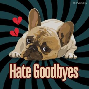 40+ Sad WhatsApp DP Images and Quotes to Reflect Sadness and Agony ...