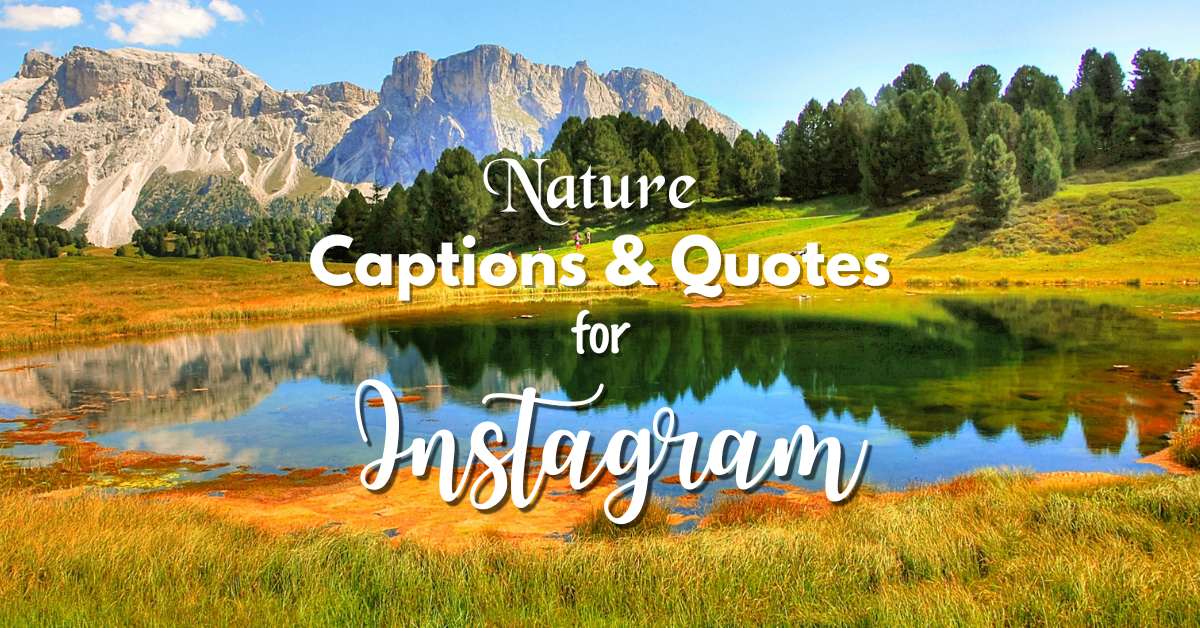 120+ Unique Nature Captions for Instagram | Fresh Nature Quotes & Ideas ...